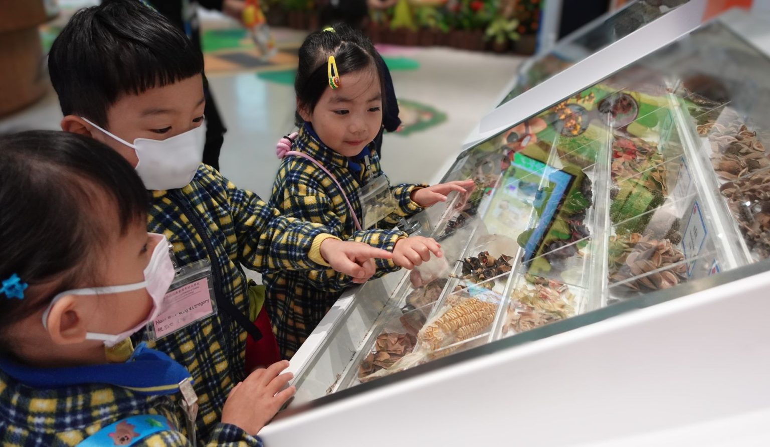 幼稚園活動津貼 – 綠化教育資源中心(3/2025) – 深井幼兒學校 – 香港保護兒童會